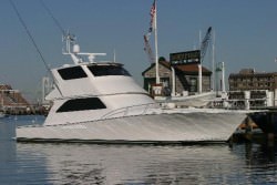 Luxury Fishing Charters | Ultimate Fishing Charters