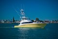 Ultimate Fishing Charters | Miami Fishing Charters: Luxury Deep Sea and ...