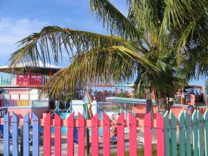 Bimini Luxury Fishing Charters & Sportfishing Trips | Ultimate Fishing ...